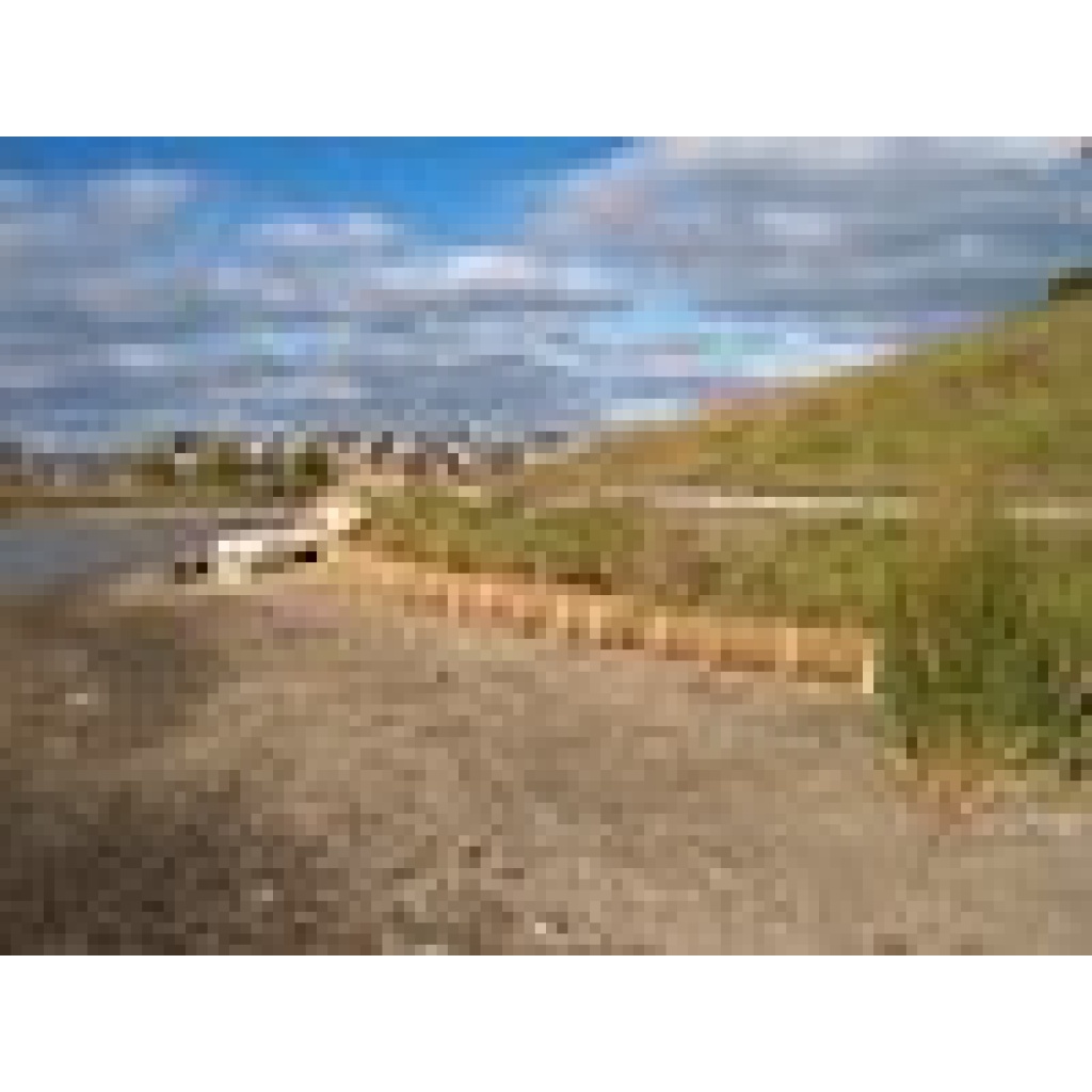 Coir Fiber Mat (Import) 700 gram Coir Fiber 6.5' X 165' Roll *Sold in ...
